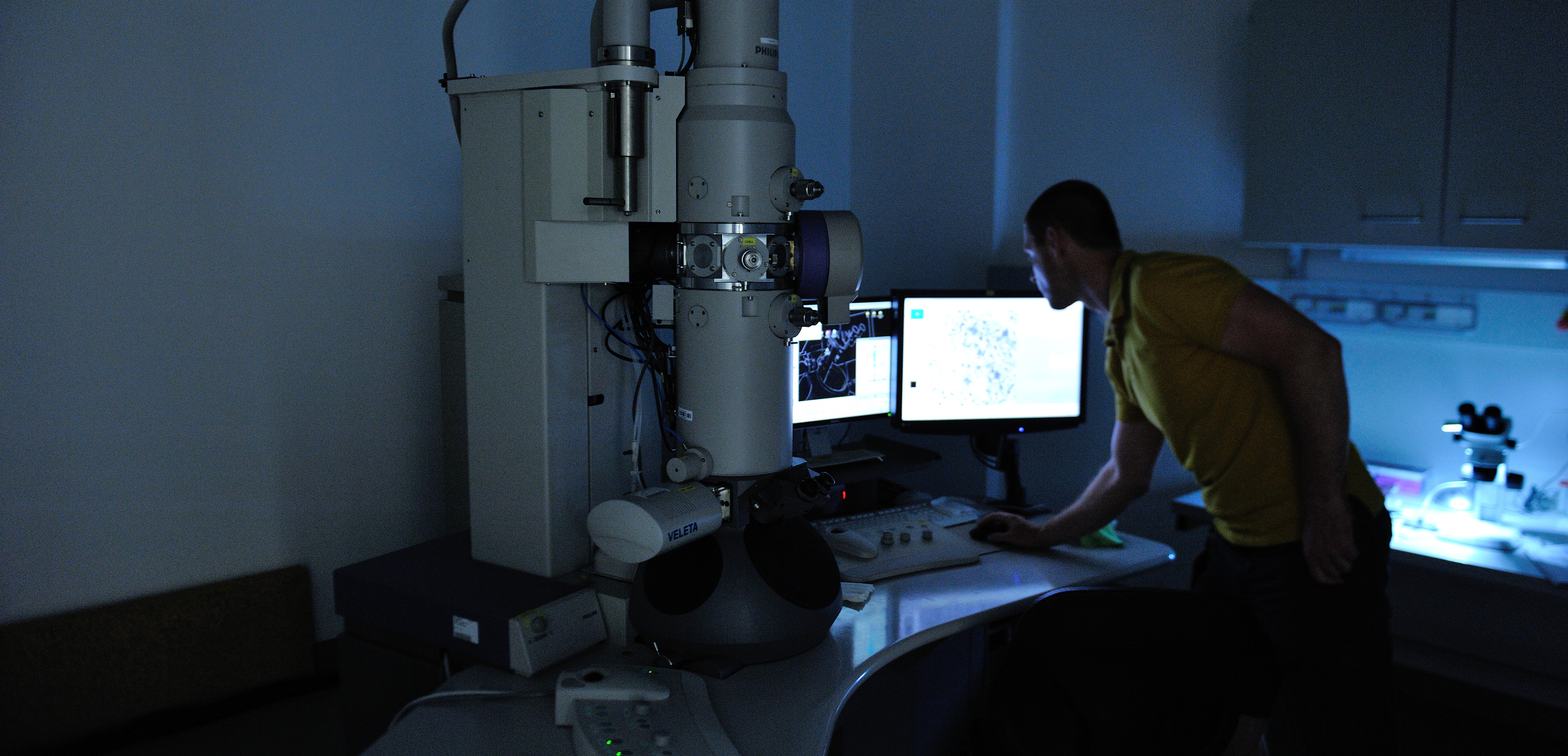 ISTA | Electron Microscopy Facility