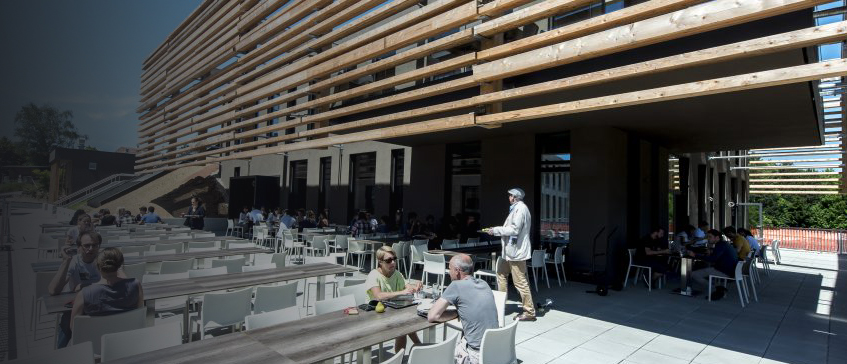 ISTA | Food Services