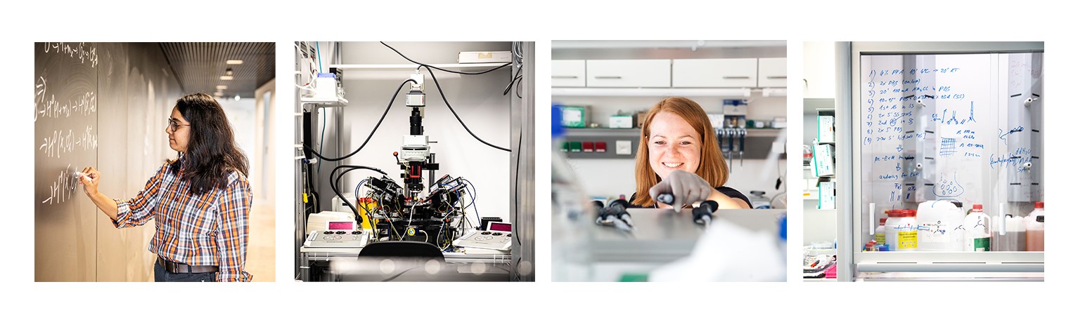 ISTA | IST-BRIDGE: International Postdoctoral Program