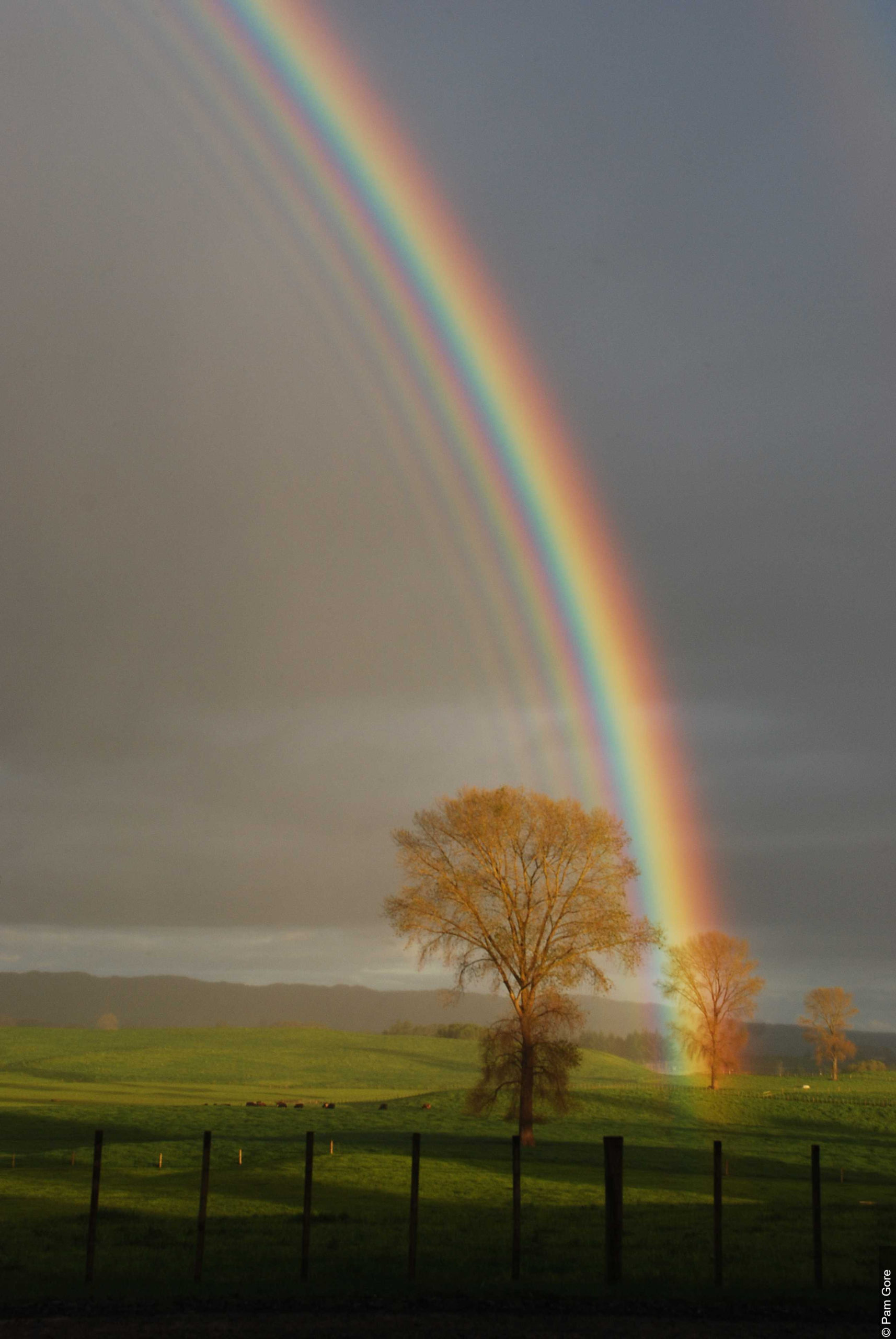 ISTA | Do Triple Rainbows Exist?
