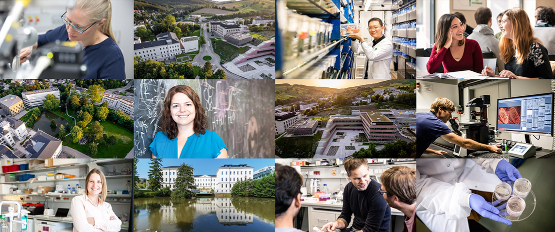 ISTA | The ISTA Foundation